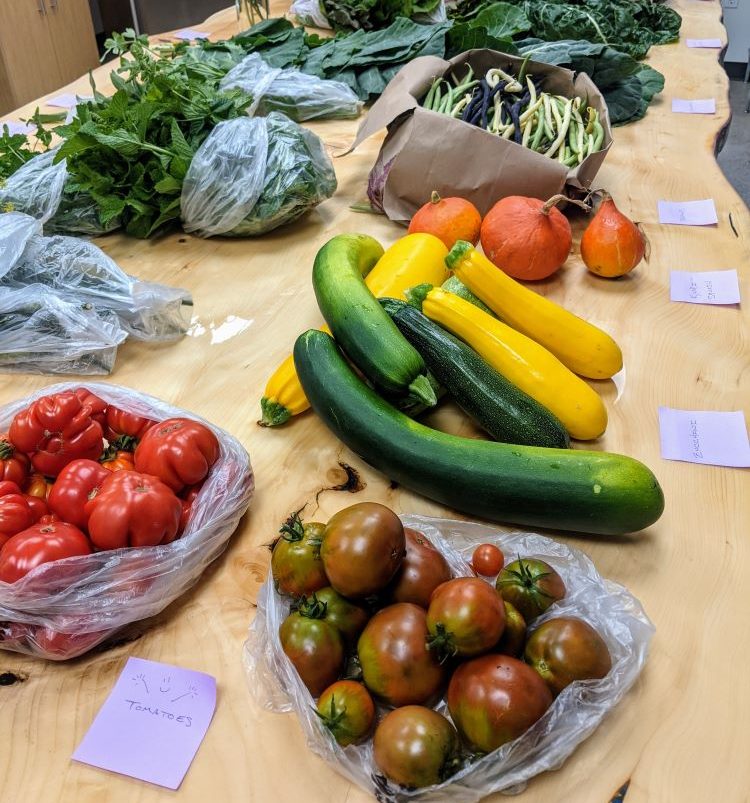 Welcome To Simple Garden Cooking – Simple Garden Cooking